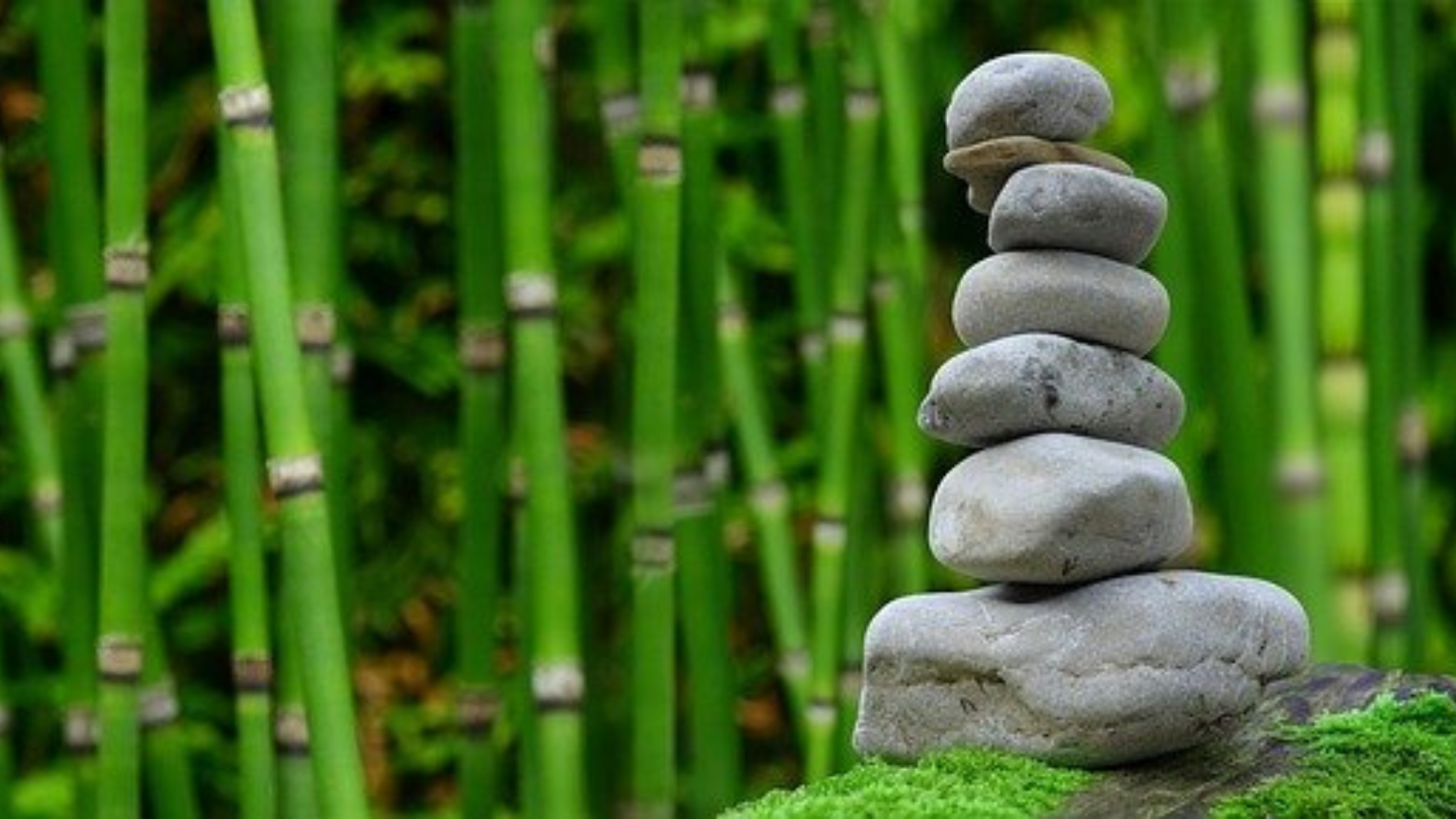 What does “grounded” mean? – Silent Mind